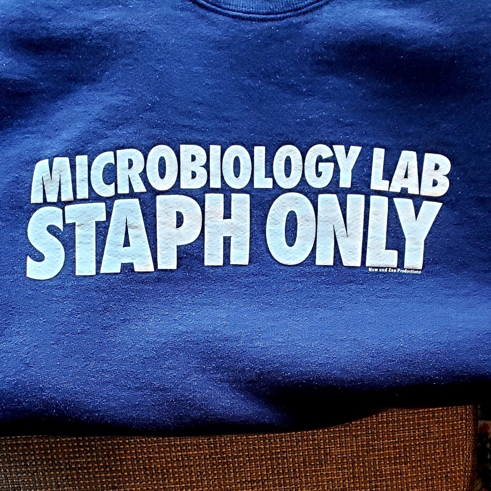 Fruit Of The Loom - Unisex Large Graphic Sweatshirt -… - Gem